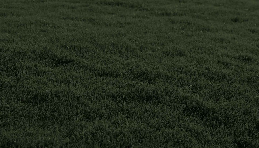 grass_bckg - Ifinancial